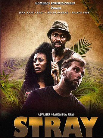 Stray: Where to Watch and Stream Online | Reelgood