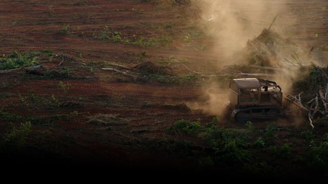 Food, Inc. 2 (2024): Where to Watch and Stream Online | Reelgood