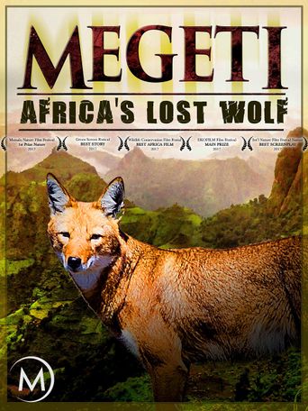 Megeti - Africa's Lost Wolf (2016): Where to Watch and Stream Online ...