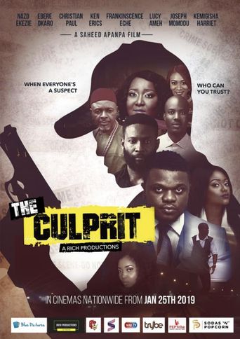 The Culprit (2019): Where to Watch and Stream Online | Reelgood