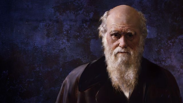 Darwin's Secret - The Beagle's Child Kidnap Experiment (2019): Where to ...