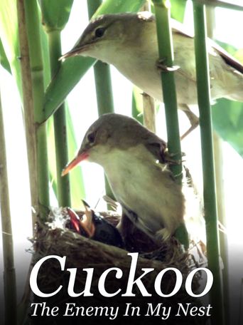 Cuckoo: The Enemy In My Nest (2024): Where to Watch and Stream Online ...