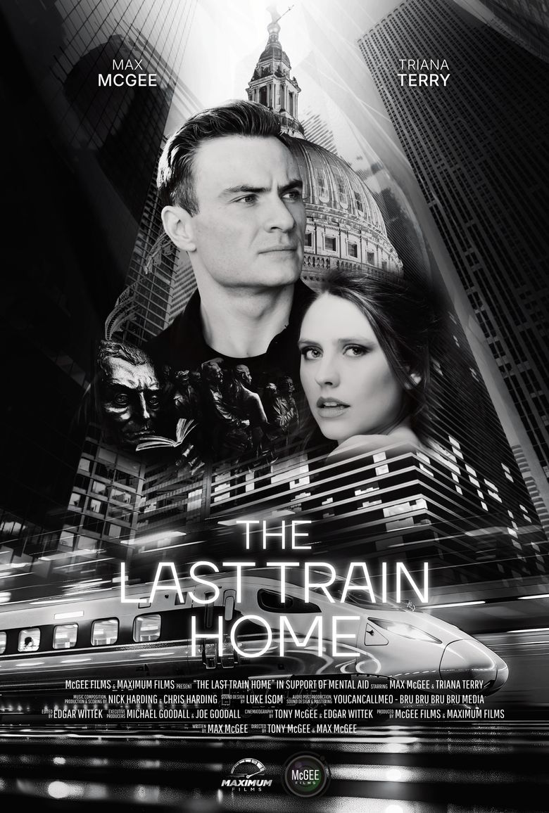 The Last Train Home | Stream Safely