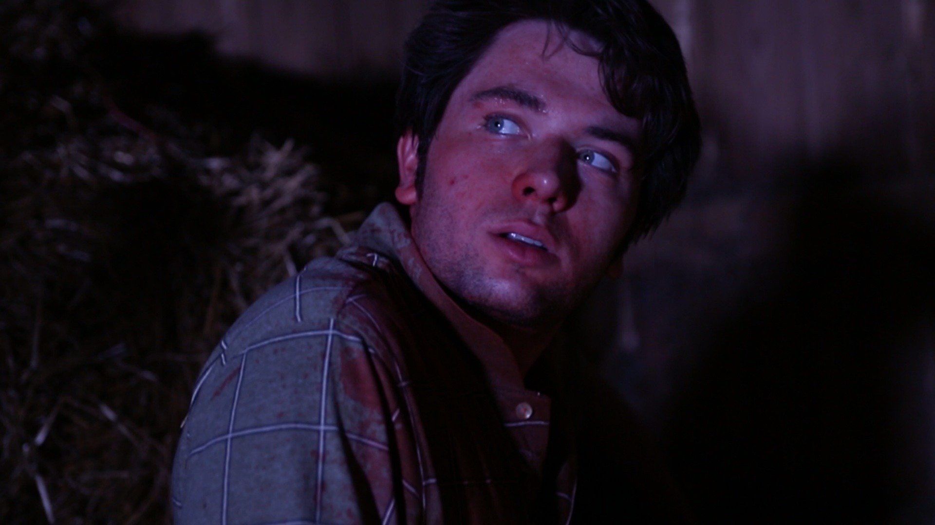 Llamageddon (2015) - Watch on Prime Video, Tubi, and Streaming Online ...