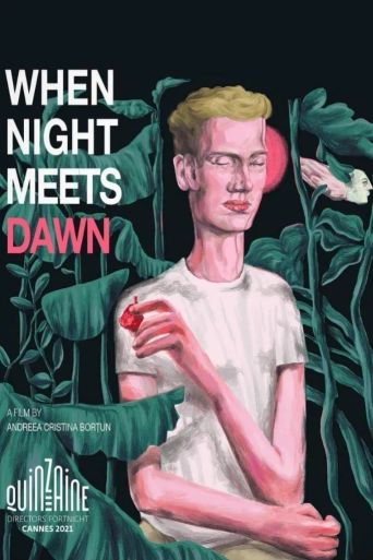 When Night Meets Dawn (2021): Where to Watch and Stream Online | Reelgood