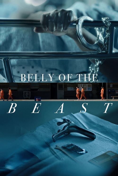 Belly of the Beast: User Lists | Reelgood