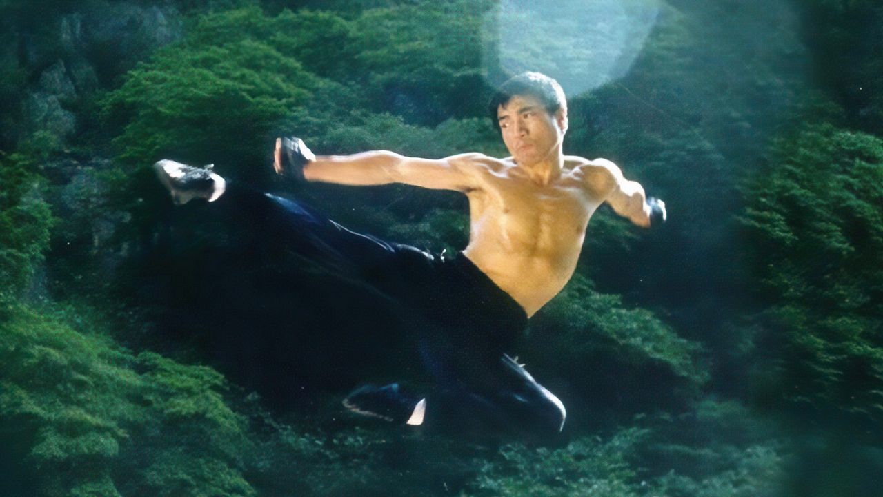 The Leopard Fist Ninja (1981): Where to Watch and Stream Online | Reelgood