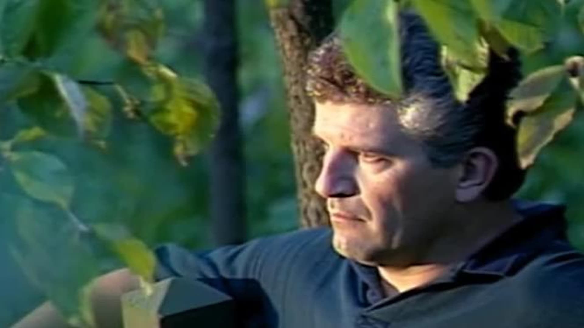 Chupa - Where to Watch It Streaming Online Available in the UK | Reelgood