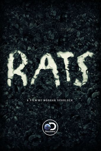 Rats (2025): Where to Watch and Stream Online | Reelgood