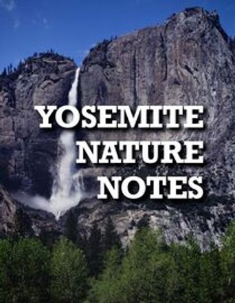 Yosemite Nature Notes Frazil Ice Where To Watch And Stream Online