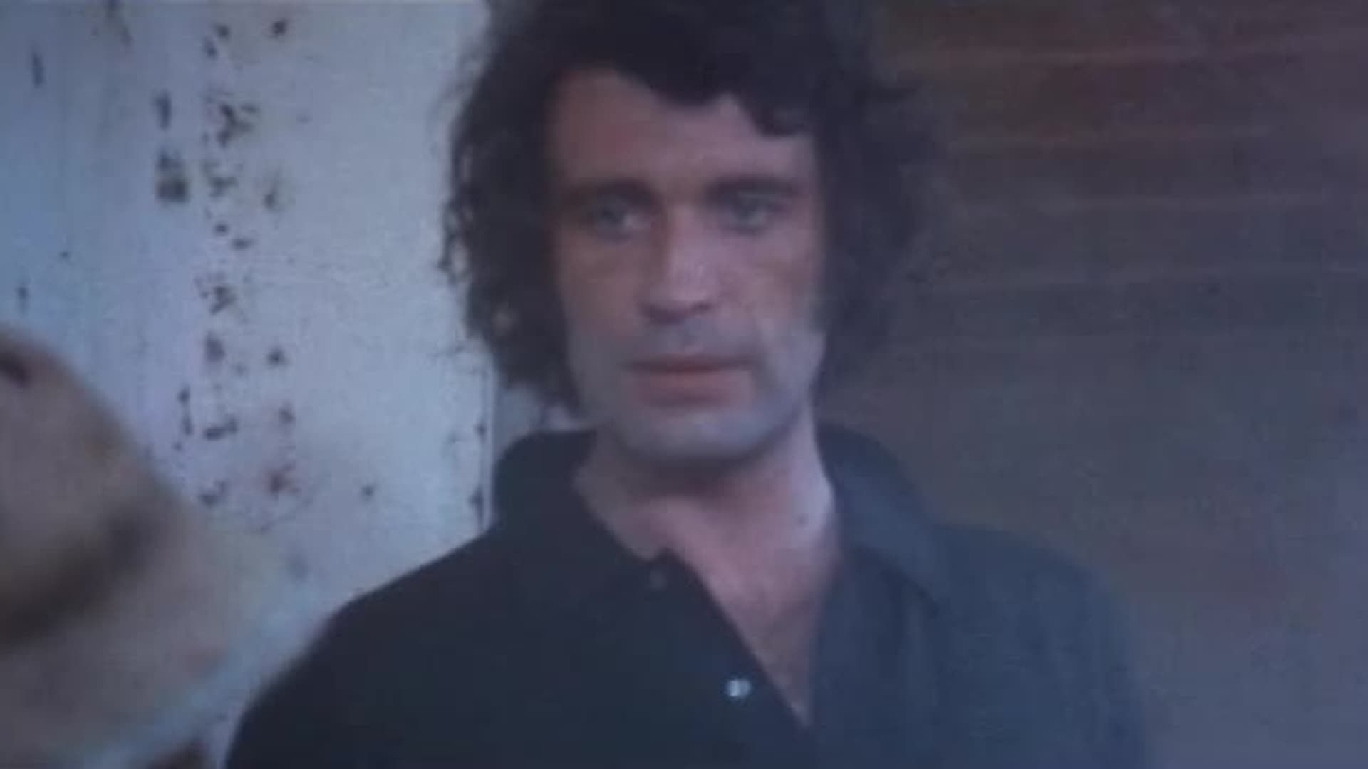 Rifftrax: Swamp of the Ravens (2013) - Where to Watch It Streaming ...