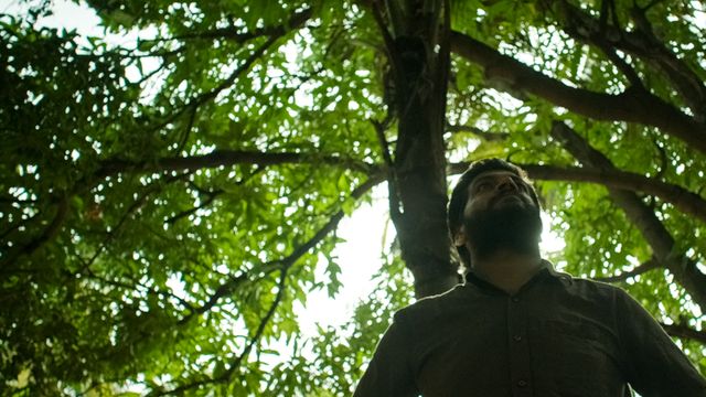 Peepal Tree (2021): Where to Watch and Stream Online | Reelgood