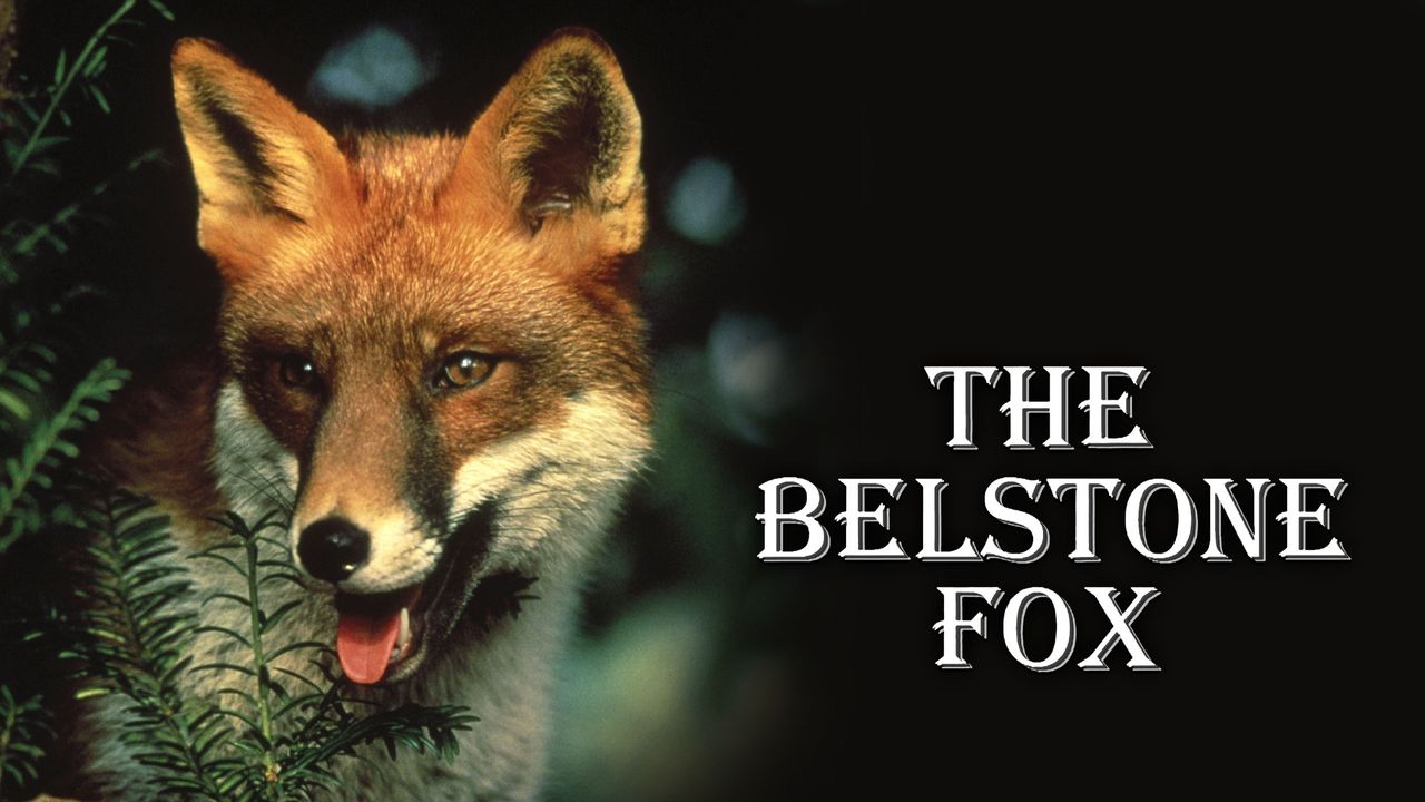 The Belstone Fox (1980): Where to Watch and Stream Online | Reelgood