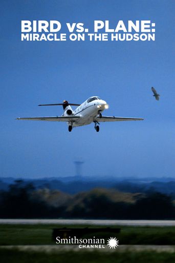 Bird vs. Plane: Miracle on the Hudson (2019): Where to Watch and Stream ...