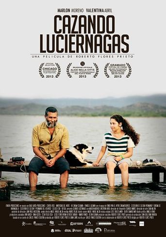 Chasing Fireflies (2013): Where to Watch and Stream Online | Reelgood