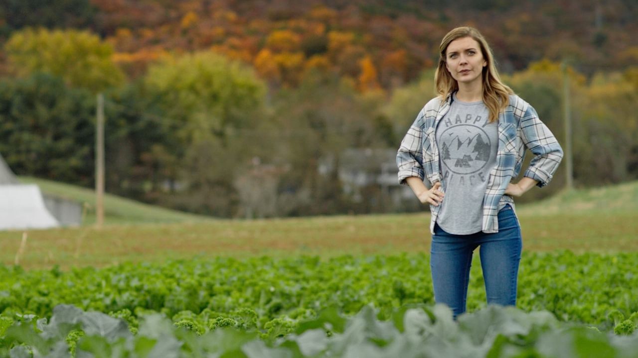 Princess Cut 2 (2021): Where to Watch and Stream Online | Reelgood
