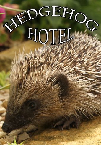The Hedgehog Hotel (2015): Where to Watch and Stream Online | Reelgood