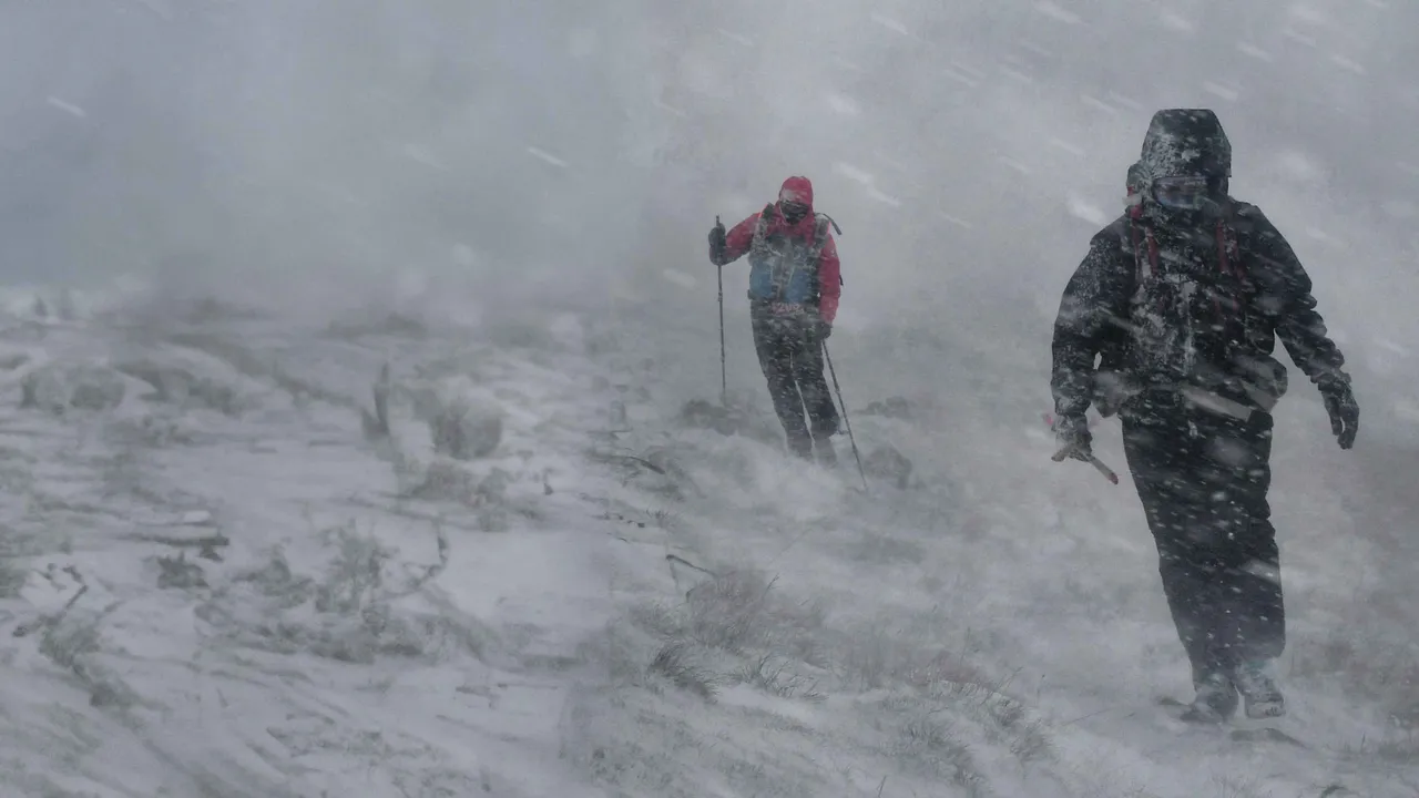 Spine: Where to Watch and Stream Online | Reelgood