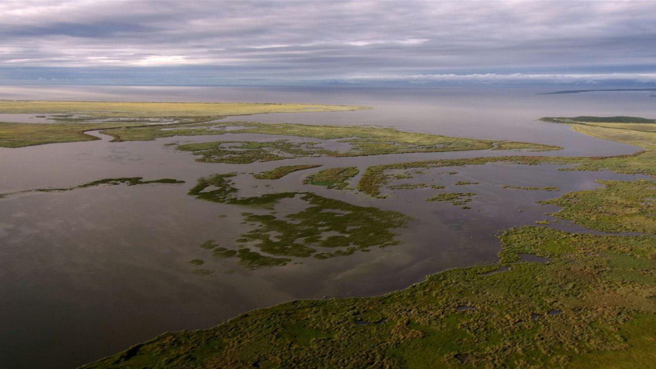 Lake Magic: Where to Watch and Stream Online | Reelgood