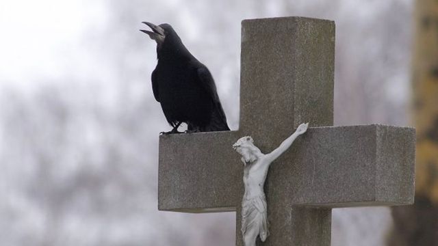 The Living Graveyard (2005): Where to Watch and Stream Online | Reelgood