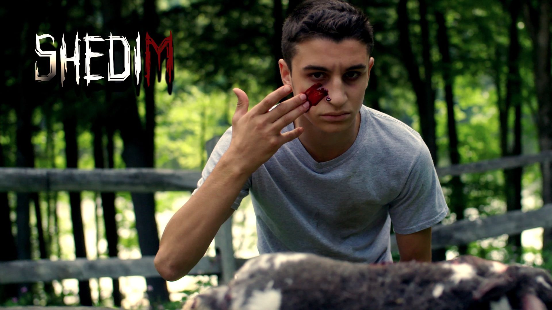 Shedim - Where to Watch It Streaming Online | Reelgood