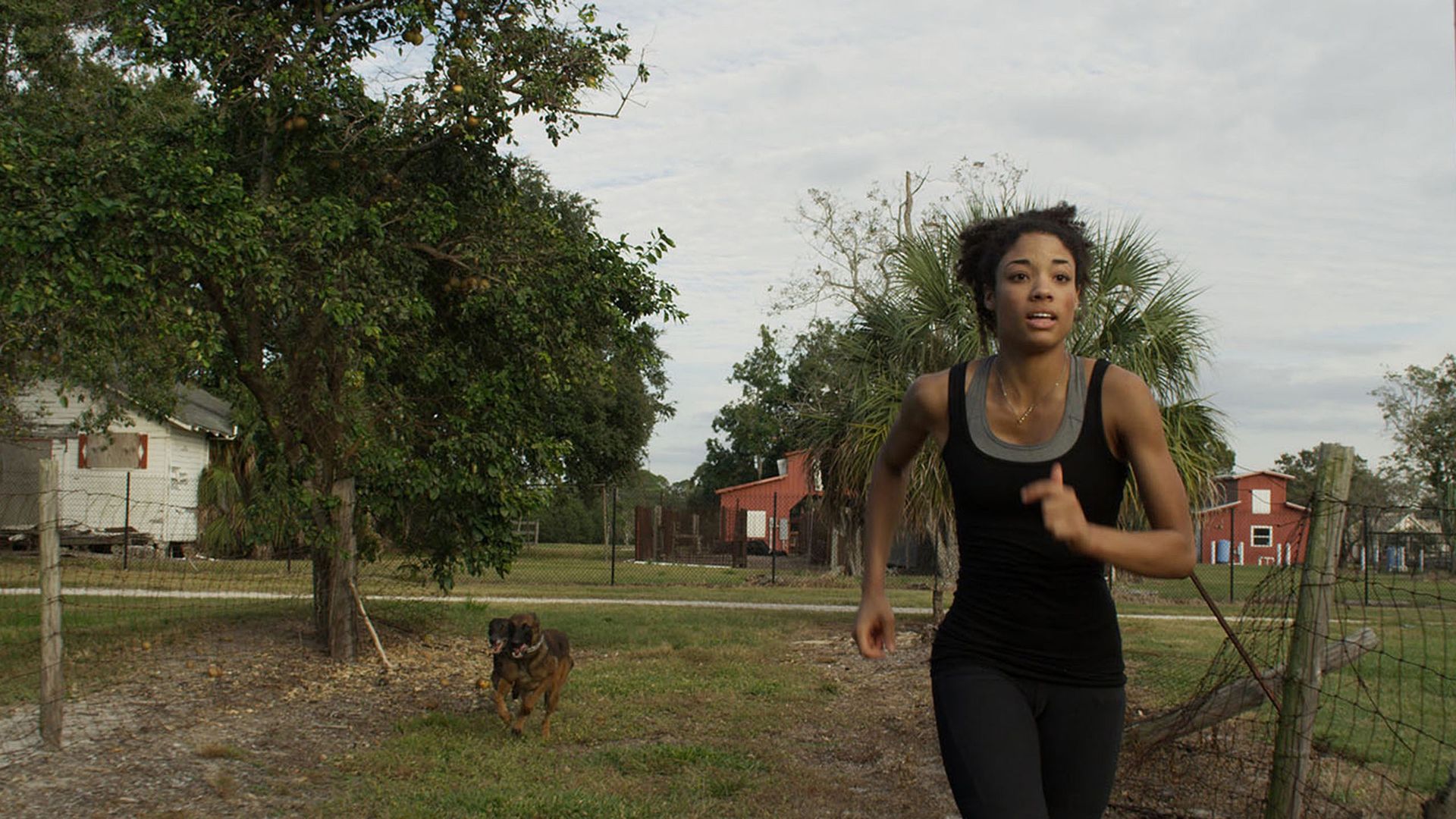 Unsullied (2015) - Where to Watch It Streaming Online | Reelgood