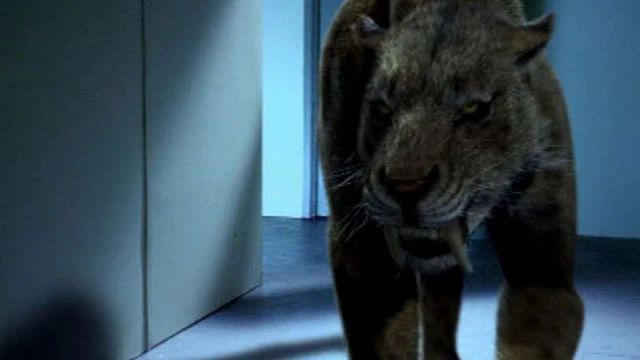 Attack of the Sabretooth (2005): Where to Watch and Stream Online ...
