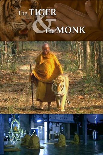 The Tiger and the Monk (2007): Where to Watch and Stream Online | Reelgood