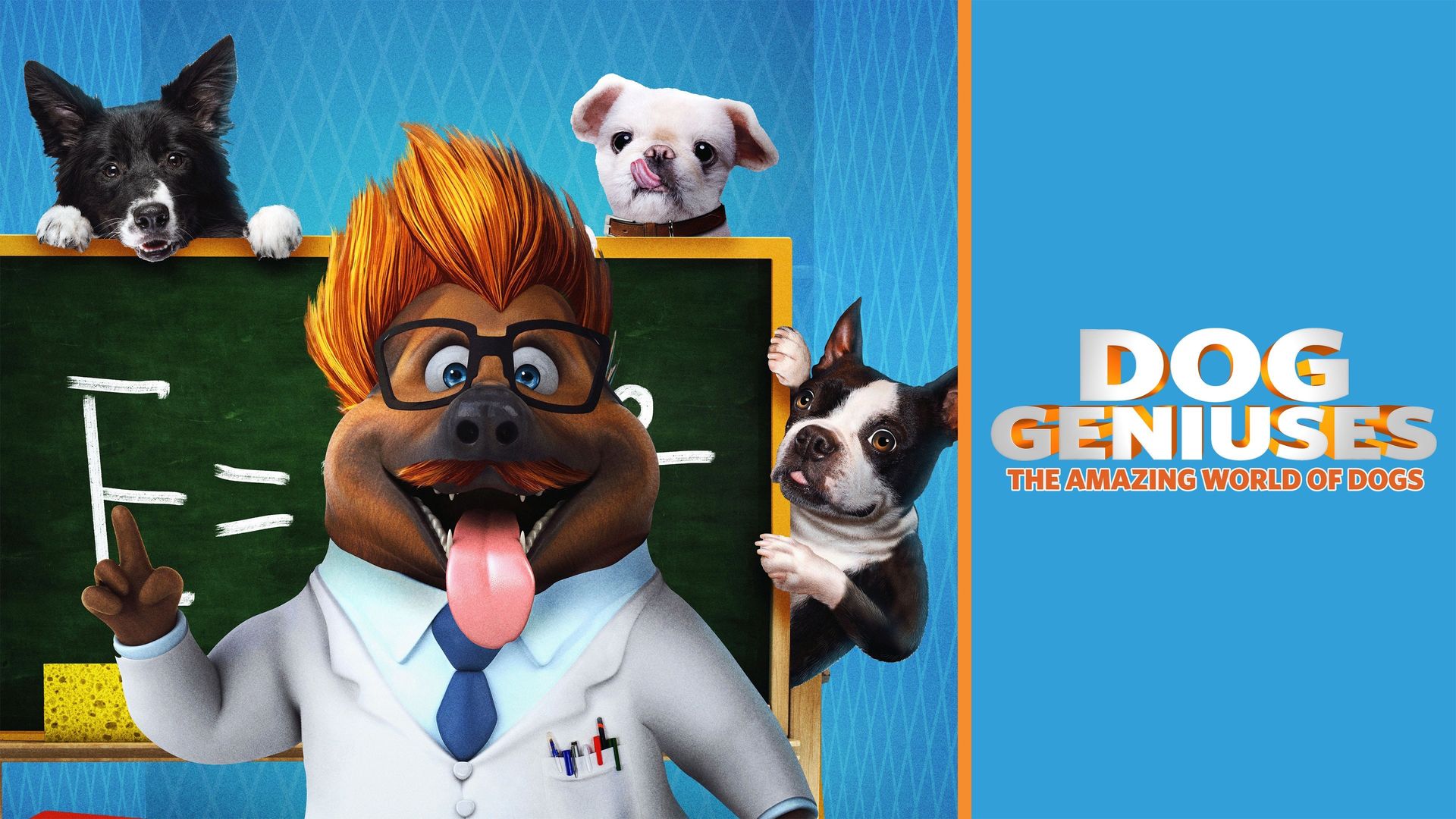 Dog Geniuses (2019) - Where to Watch It Streaming Online Available in ...