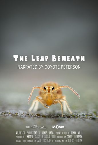 The Leap Beneath (2025): Where to Watch and Stream Online | Reelgood