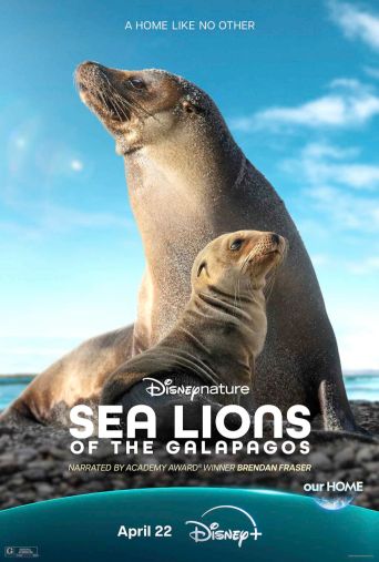 Guardians of the Galapagos (2025): Where to Watch and Stream Online | Reelgood