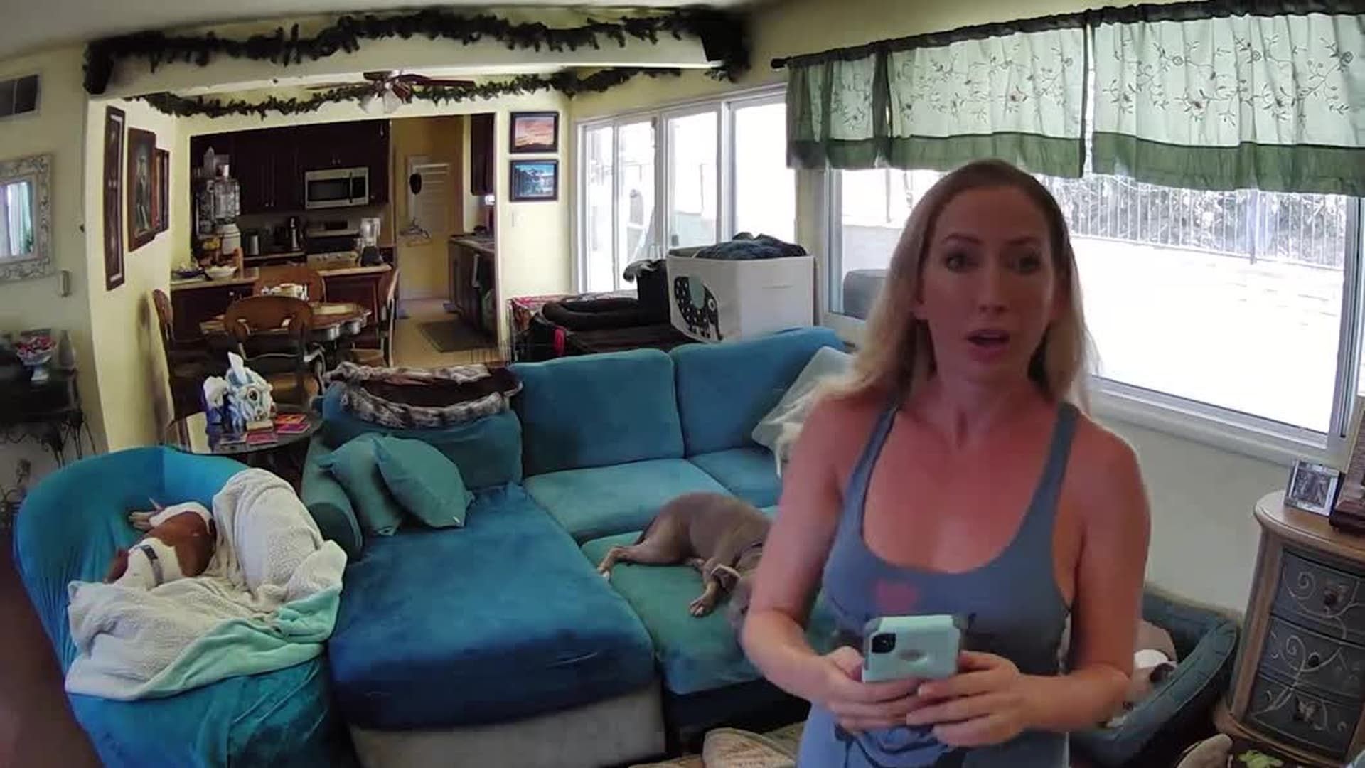 Lexi (2022) - Watch on Tubi or Streaming Online | Reelgood