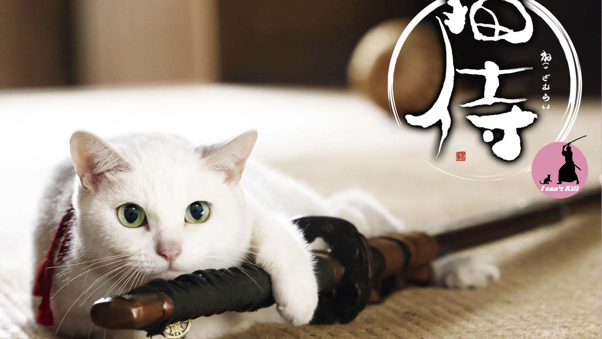 Neko Samurai 2: A Tropical Adventure (2015) - Where to Watch It ...