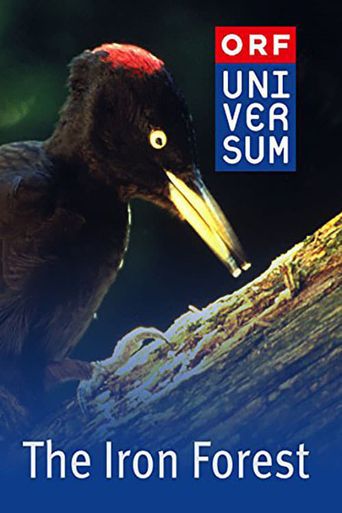 Iron Forest (1998): Where to Watch and Stream Online | Reelgood