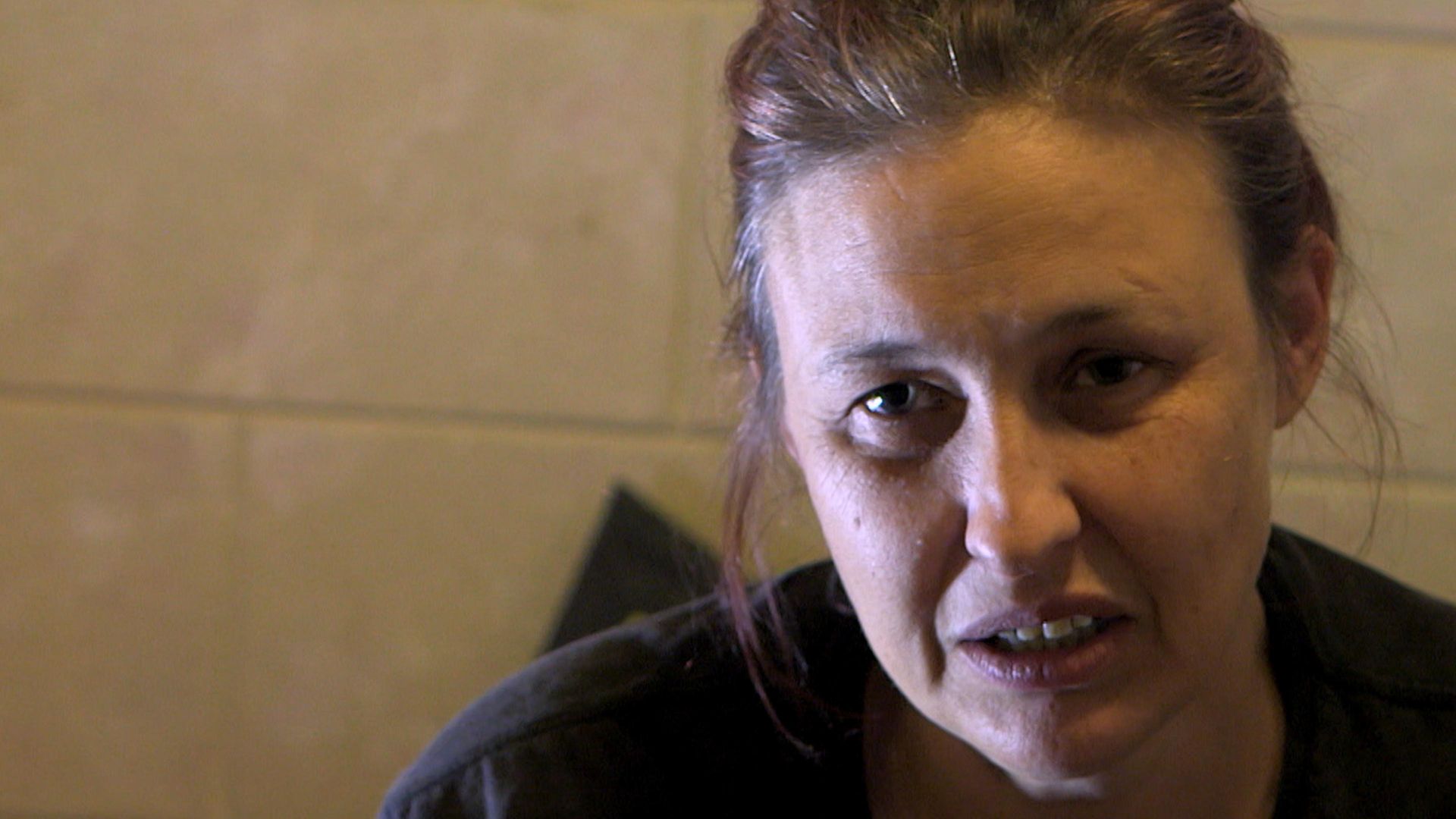 The Pink House (2017) - Where to Watch It Streaming Online | Reelgood