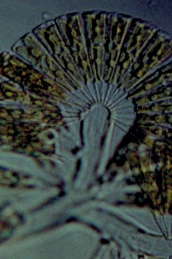 Diatoms (1968): Where to Watch and Stream Online | Reelgood
