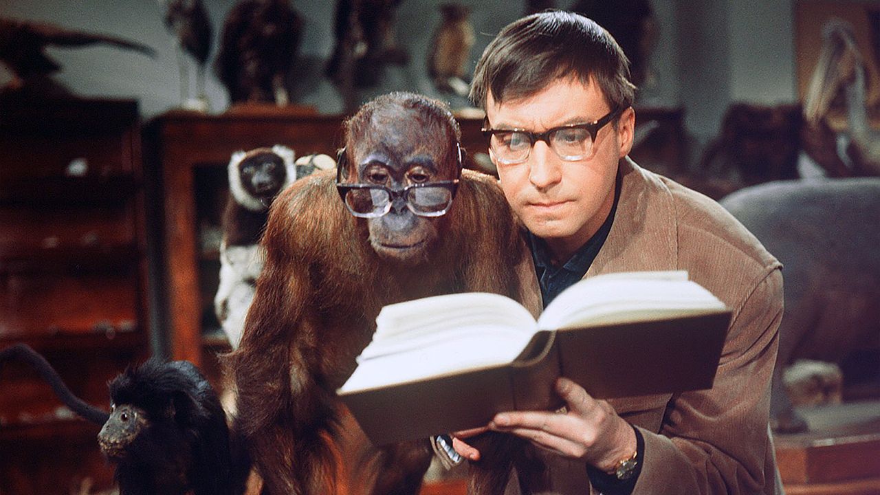 Der Musterknabe (1963): Where to Watch and Stream Online | Reelgood