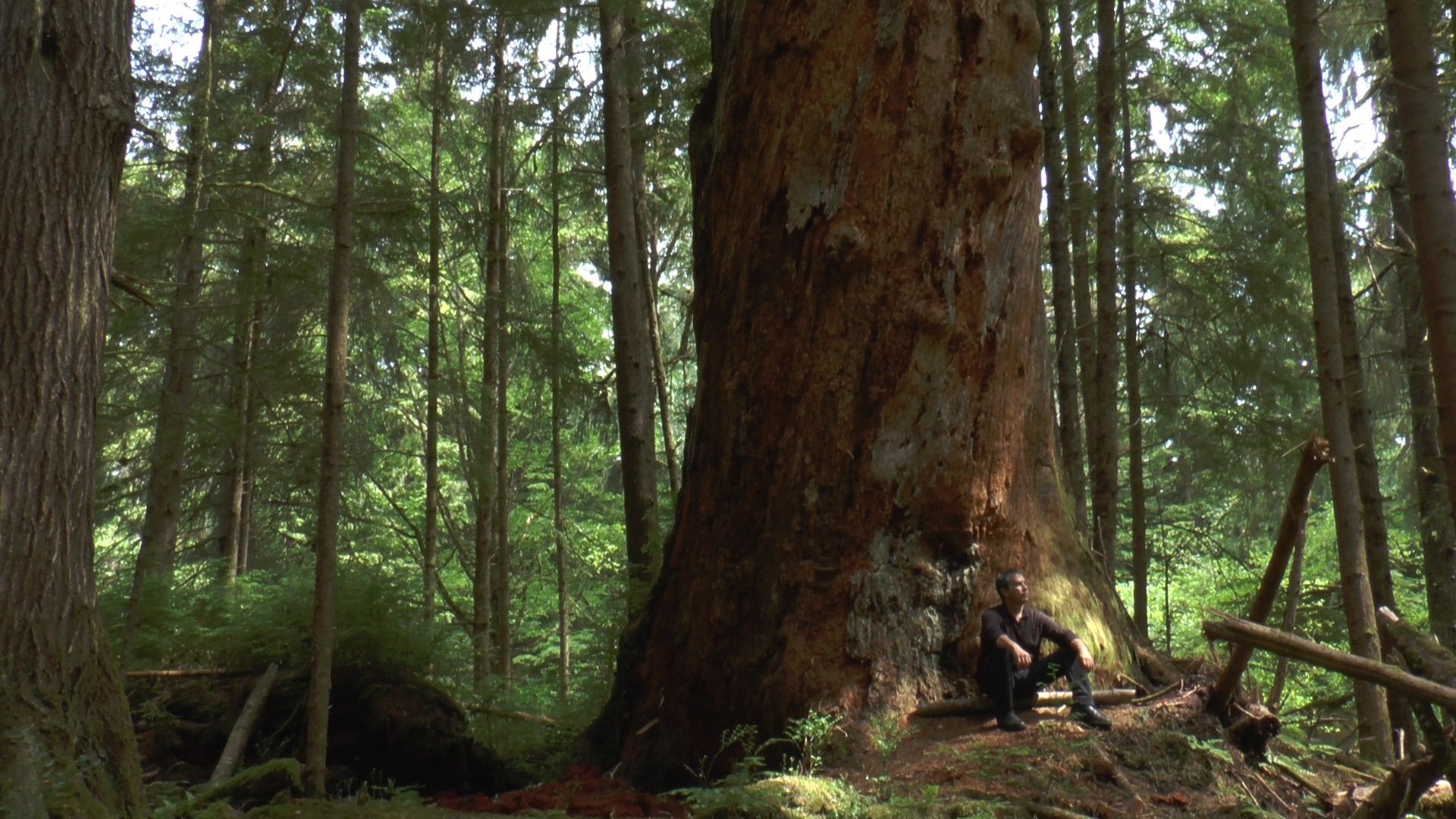 White Ravens: A Legacy of Resistance: Where to Watch and Stream Online ...