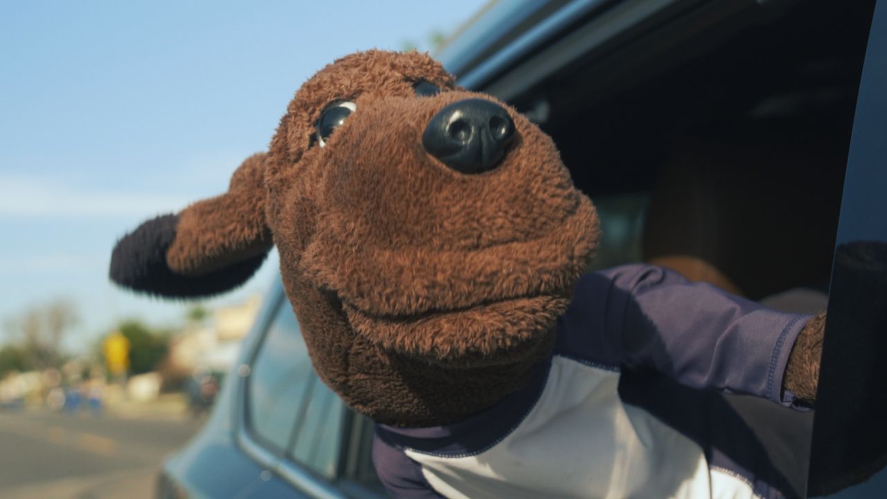 Allan the Dog (2020): Where to Watch and Stream Online | Reelgood