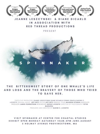 Spinnaker: Where to Watch and Stream Online | Reelgood
