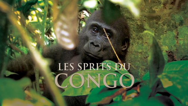 Spirits of Congo (2023): Where to Watch and Stream Online | Reelgood