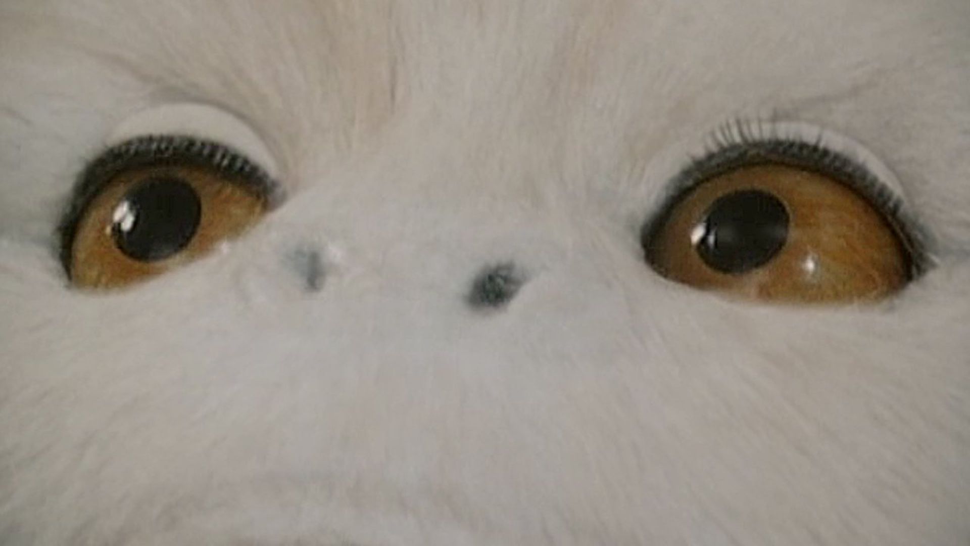 Space Police (1986) - Where to Watch It Streaming Online | Reelgood