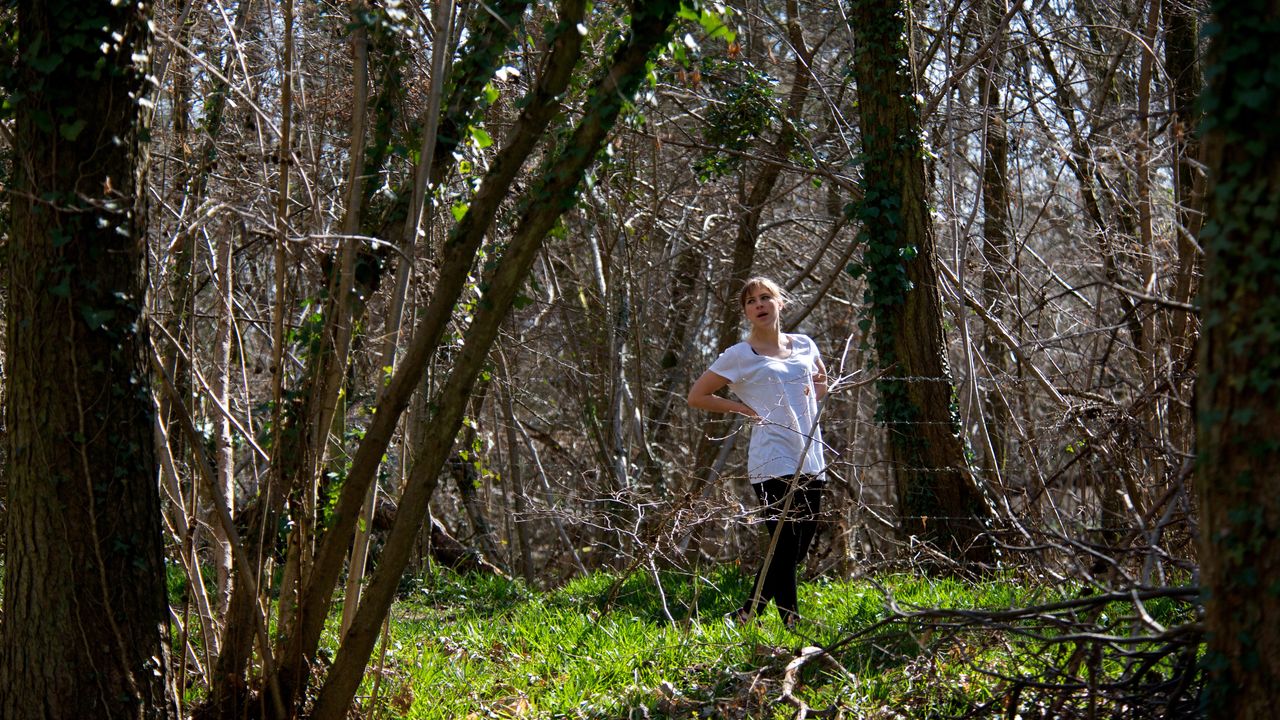 Bonobo (2014): Where to Watch and Stream Online | Reelgood