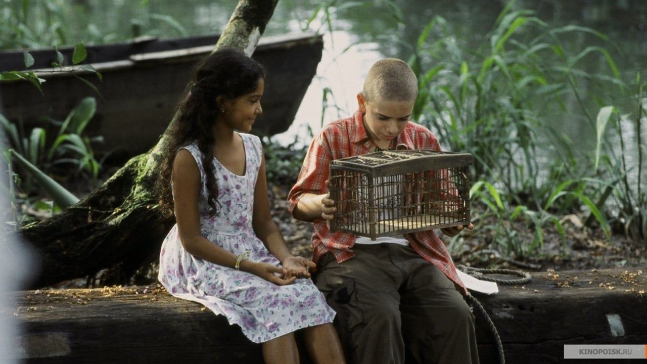 The Blue Butterfly (2004): Where to Watch and Stream Online | Reelgood