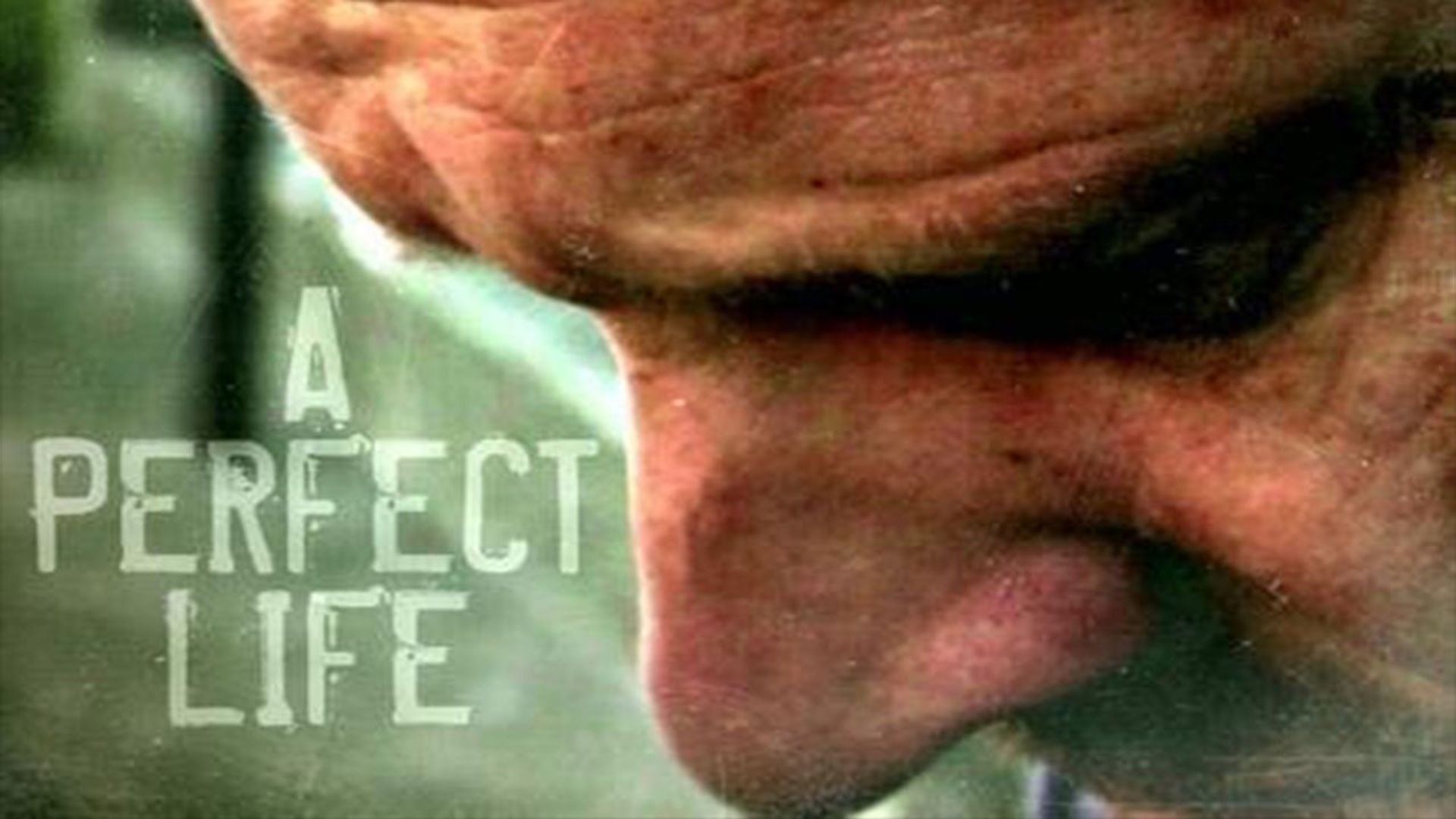 A Perfect Life (2011) - Watch on Tubi, PlutoTV, and Streaming Online ...