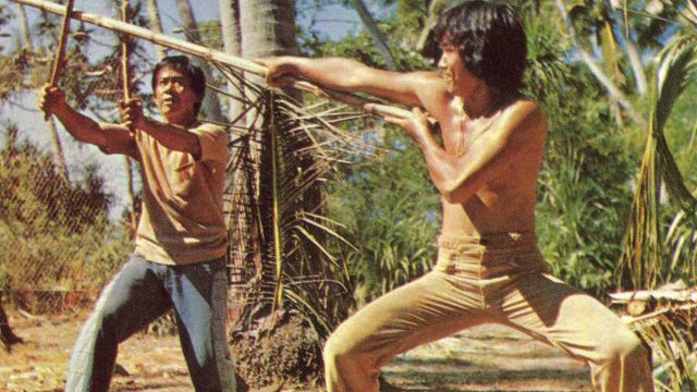 Meng long bi hu xiao quan wang (1977): Where to Watch and Stream Online ...