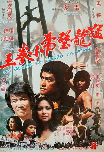 Meng long bi hu xiao quan wang (1977): Where to Watch and Stream Online ...