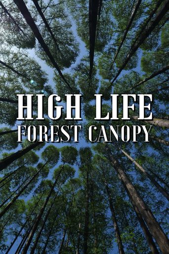 High Life: Forest Canopy (2021): Where to Watch and Stream Online ...