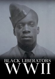 Black Liberators WWII: Where to Watch and Stream Online | Reelgood