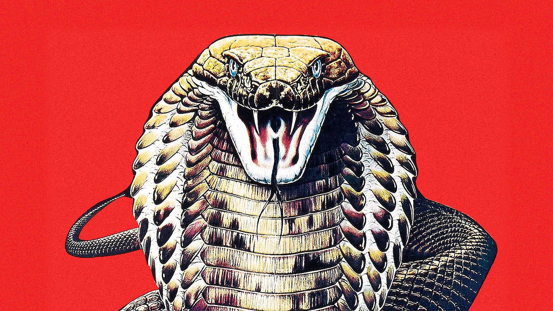 Fangs (2021) - Watch on AMC+ or Streaming Online | Reelgood